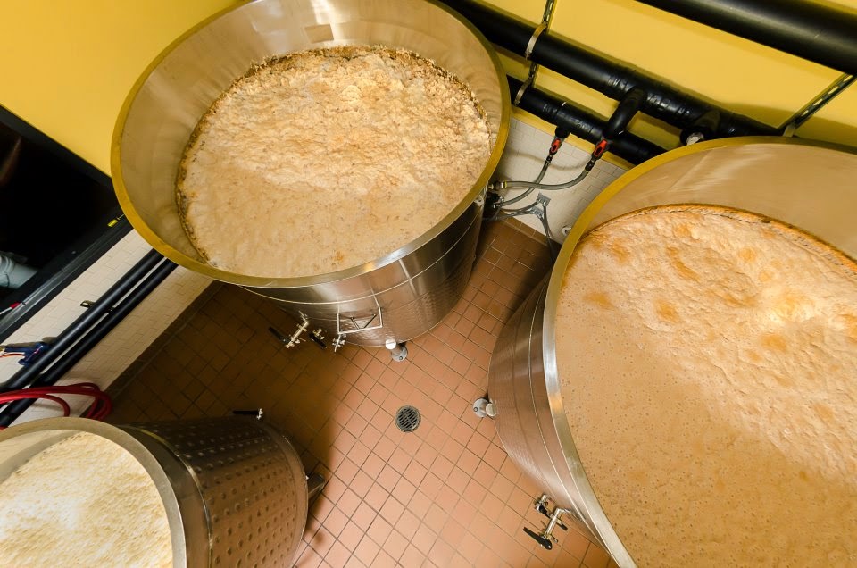 The Mad Fermentationist - Homebrewing Blog: American Saison ...