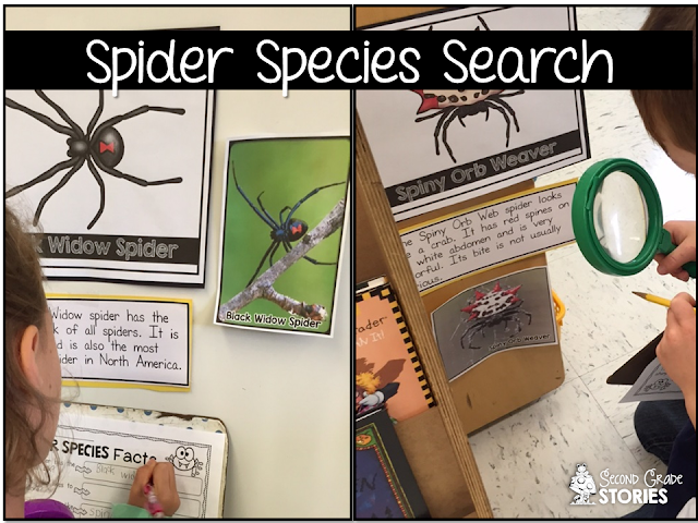 Spectacular Spiders! - Second Grade Stories