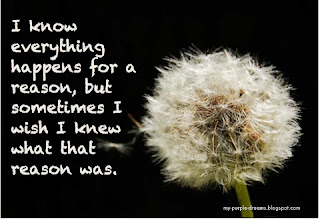 My Purple Dreams: Week 45: Three Wishes