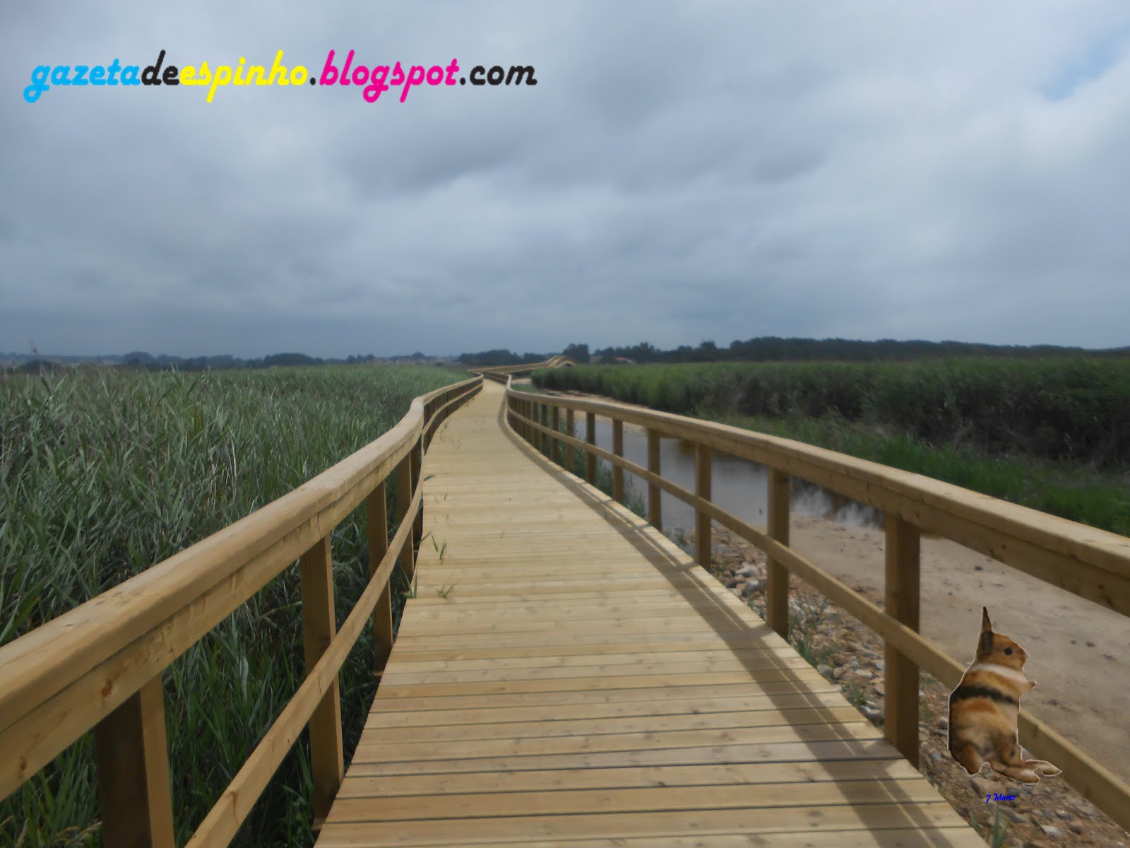Gazeta de Espinho: Lagoa de Paramos
