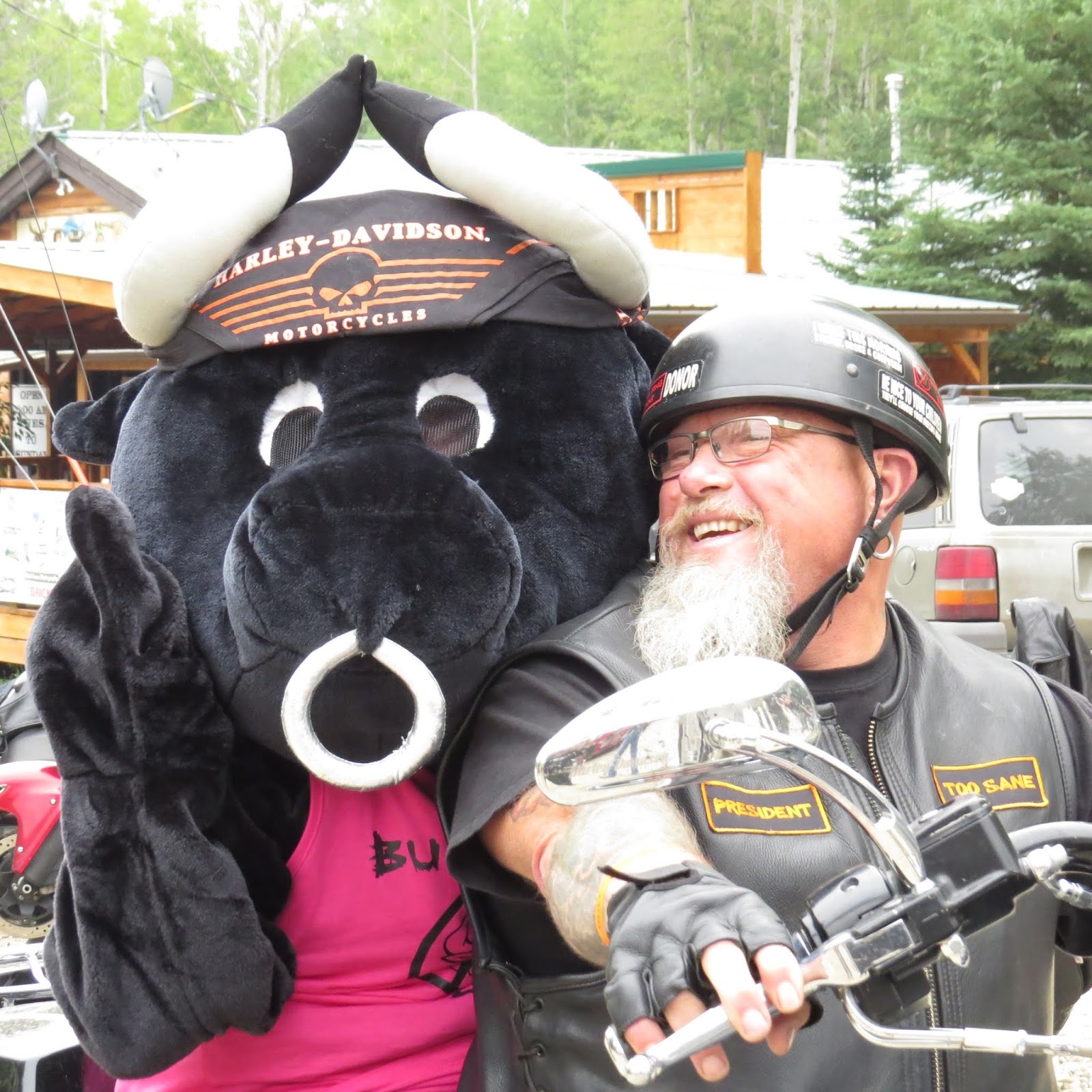 It's All About the Kids - Cynthia Alberta | Belt Drive Betty's Blog