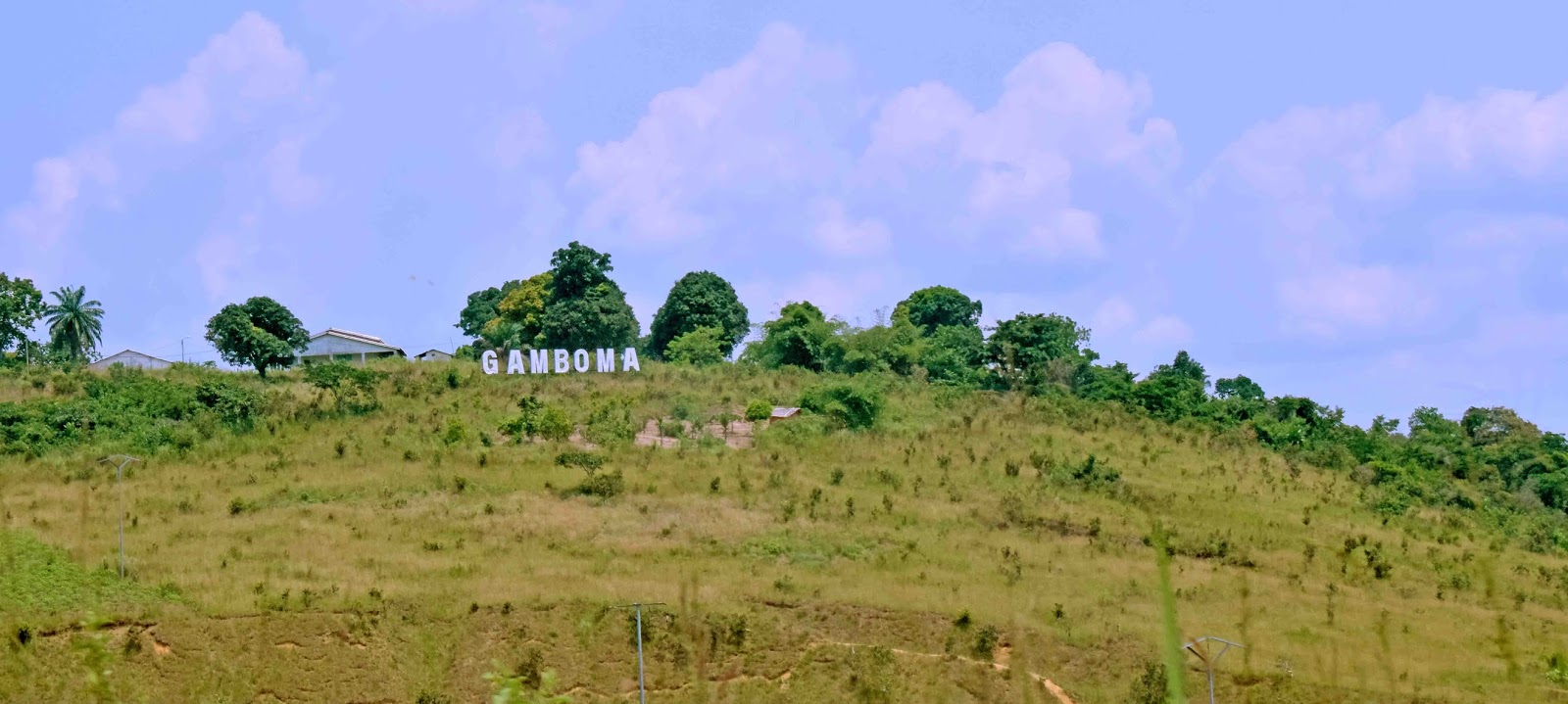 Conseil Départemental des Plateaux: District de Gamboma