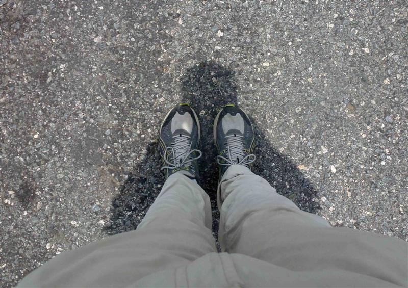 Semester at Sea Ruminations: Neptune Day: Crossing the Equator at the ...