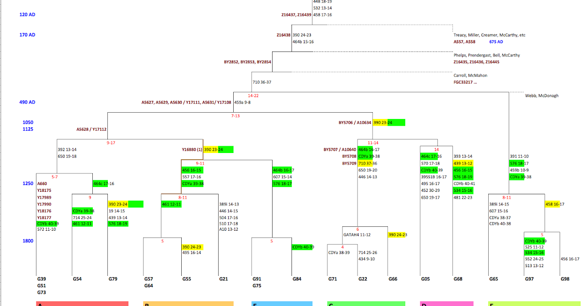 The Gleason / Gleeson DNA Project: L2 MHT - The Updated "Family Tree ...