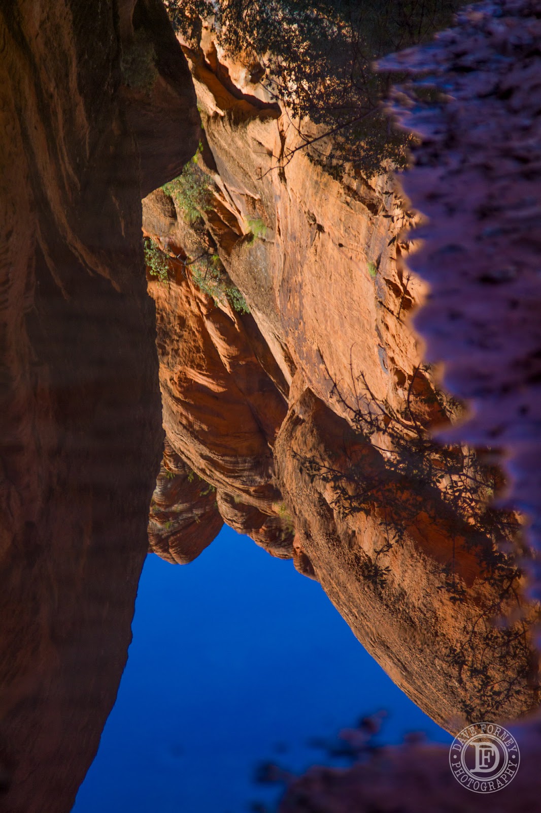 The Forney Flyer: Red Cliffs 1