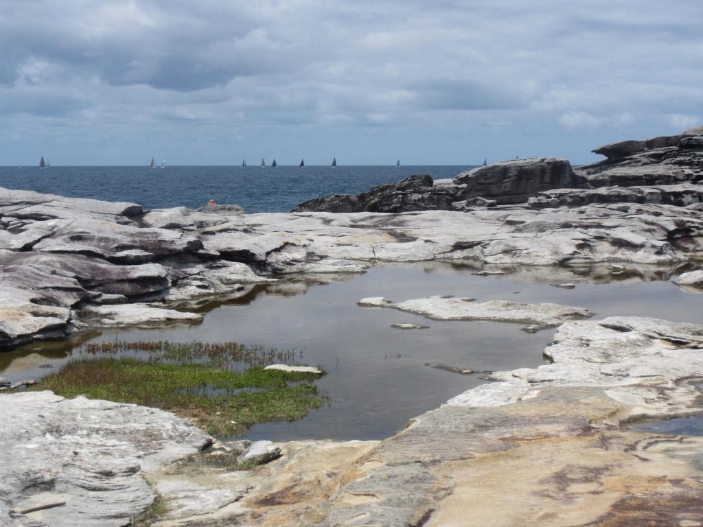 Sydney Daily Photo: Cliff rock platform Little Bay