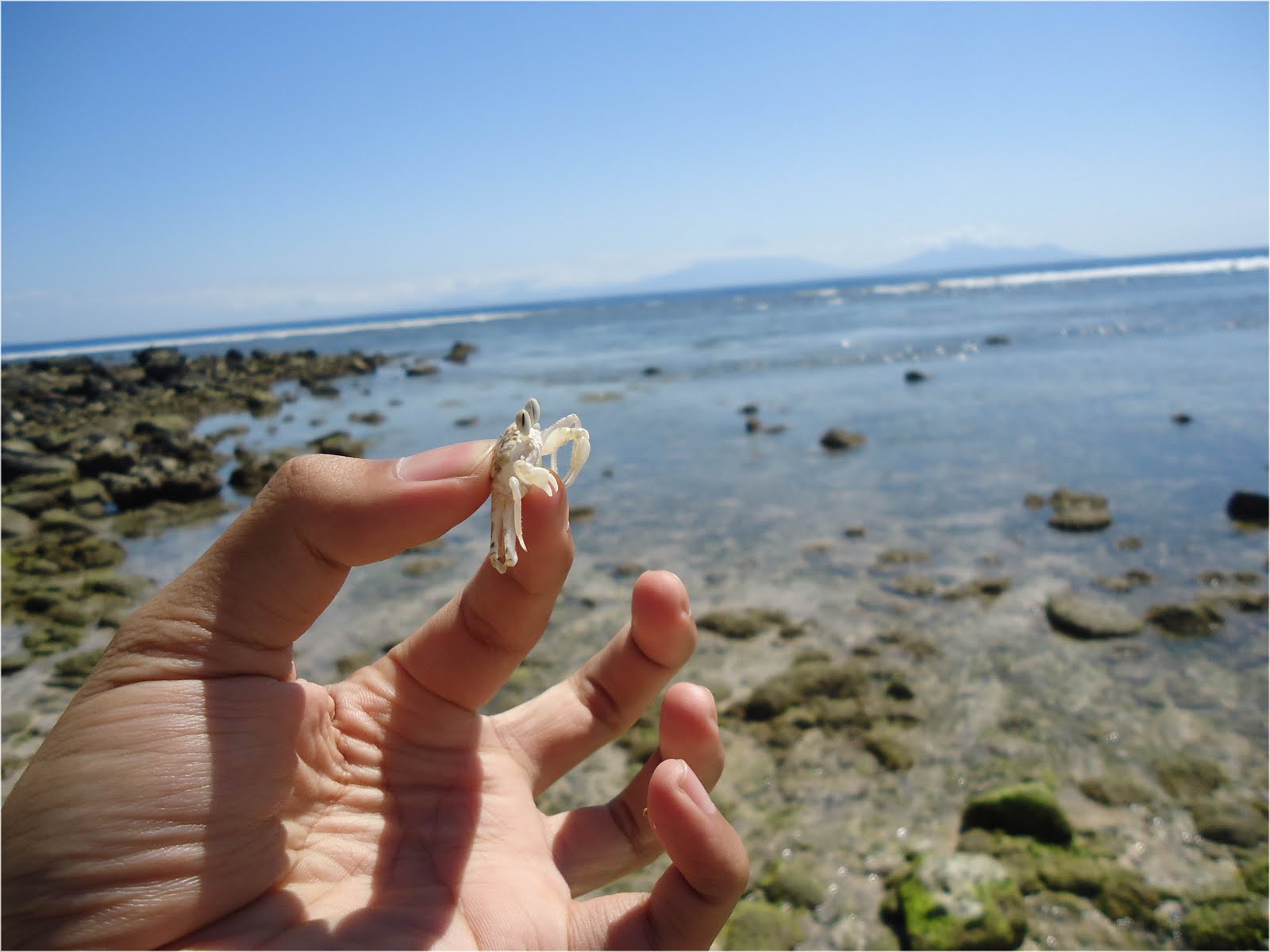 Beach Bangko-bangko West Lombok , The Best Spot Surfing (Desert Point)
