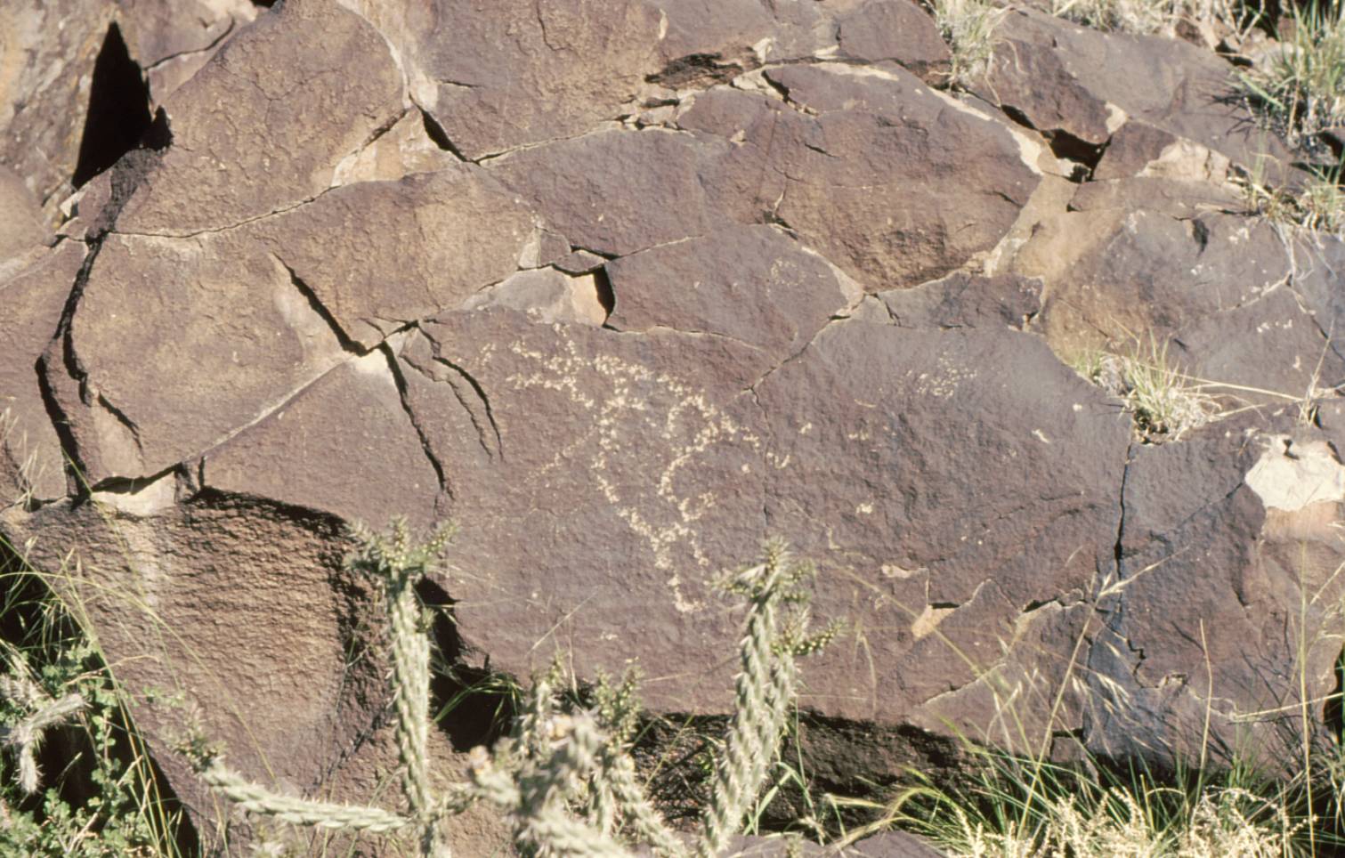 Rock Art Blog: KOKOPELLI: