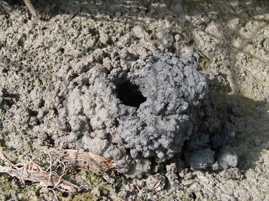 El costurero: 200. Del cieno al cielo y viceversa
