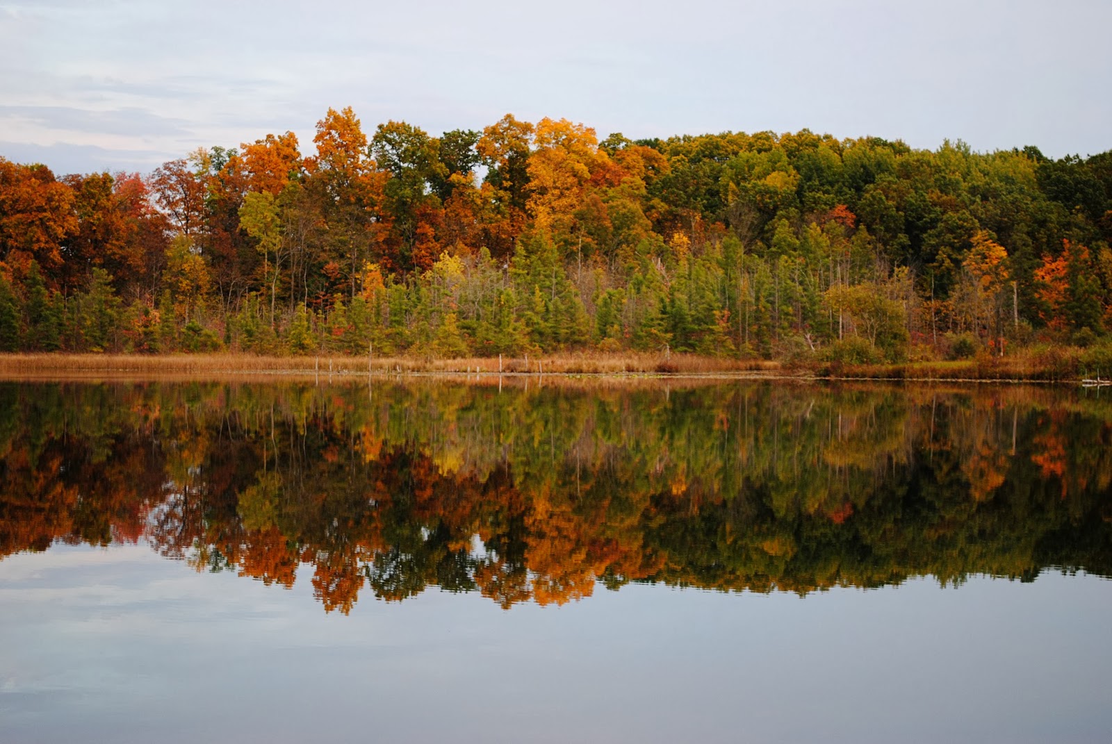 Found on Brighton: Autumn Break