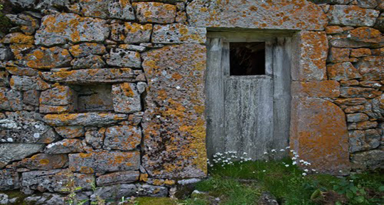 Psicologia y Medicina: Efectos adversos del Tetrazepam