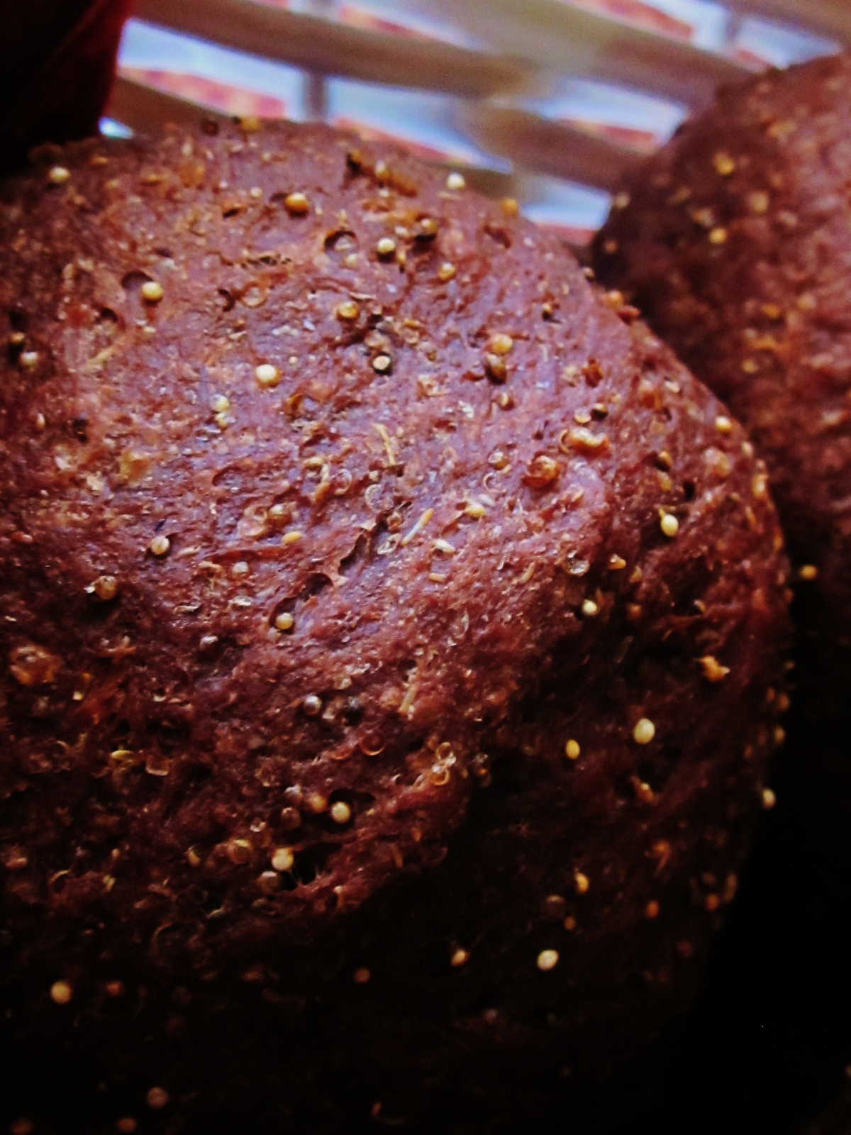 Preparing Wisely: Chocolate Amaranth Bread!