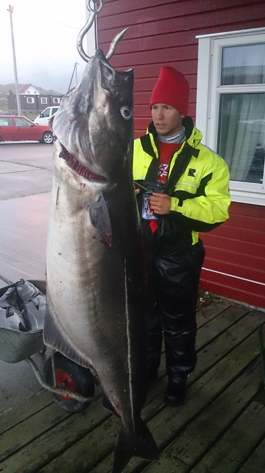 Sjybrygga Fiskecamp Værøy