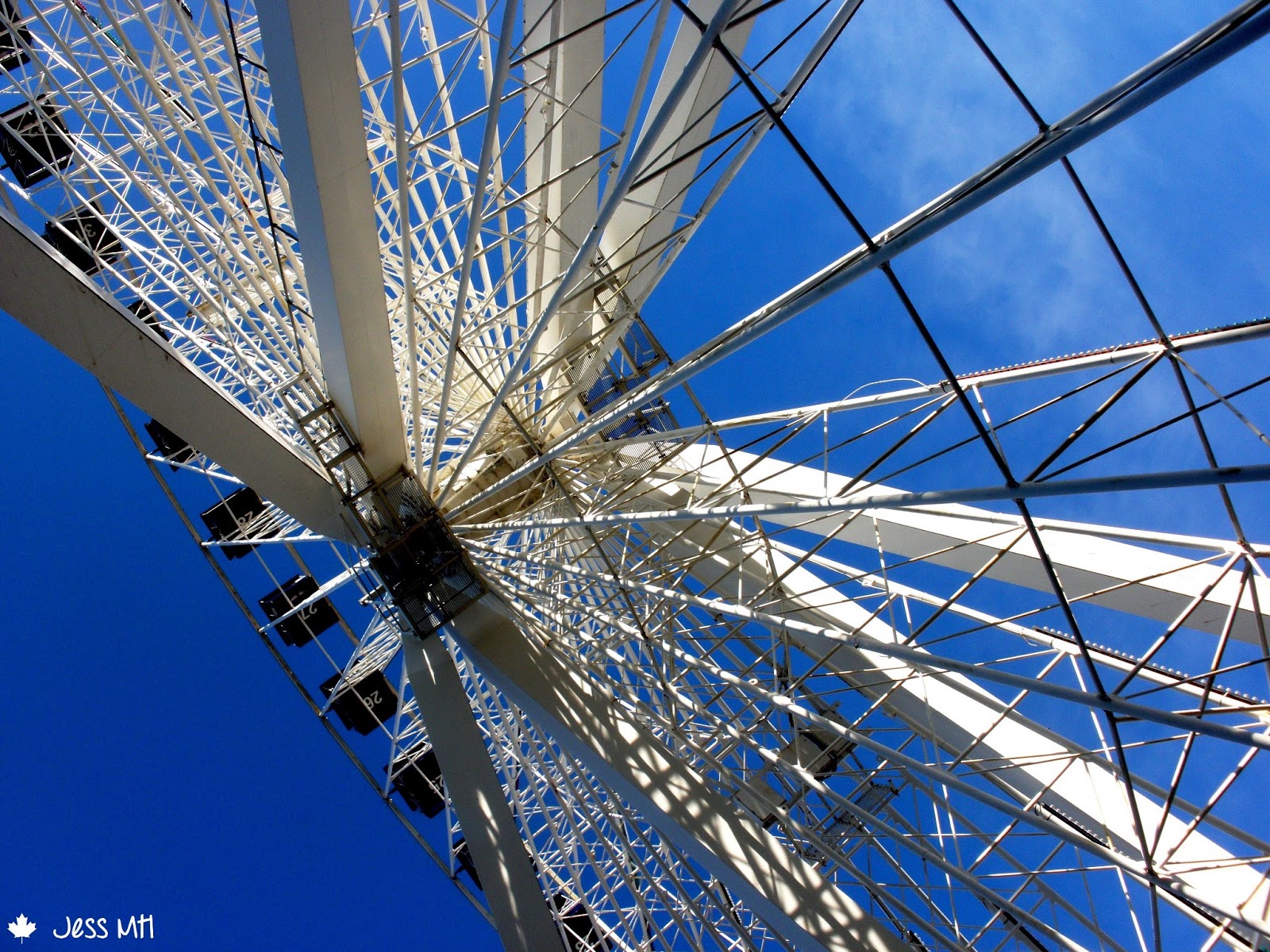 Une vie à saveur d'érable: Des manèges plein de frisson à La Ronde!