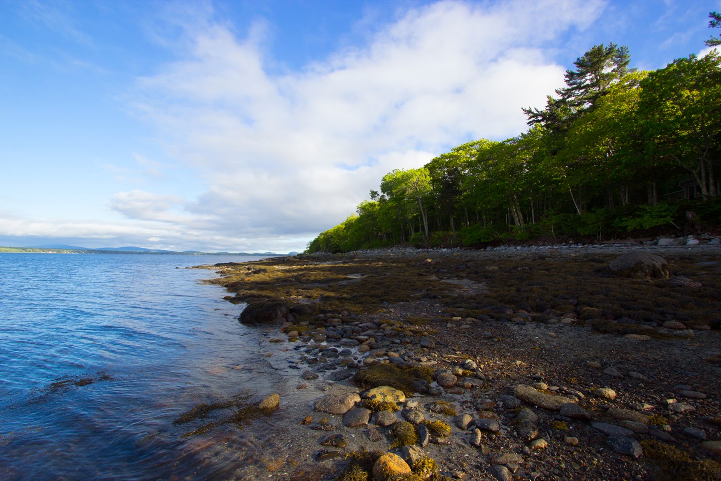 Hello Talalay: Getting Your Nature On In Maine