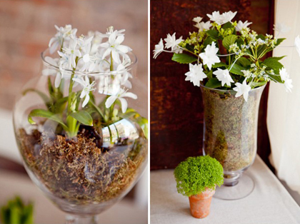 my mama's table: still life saturday with tory williams