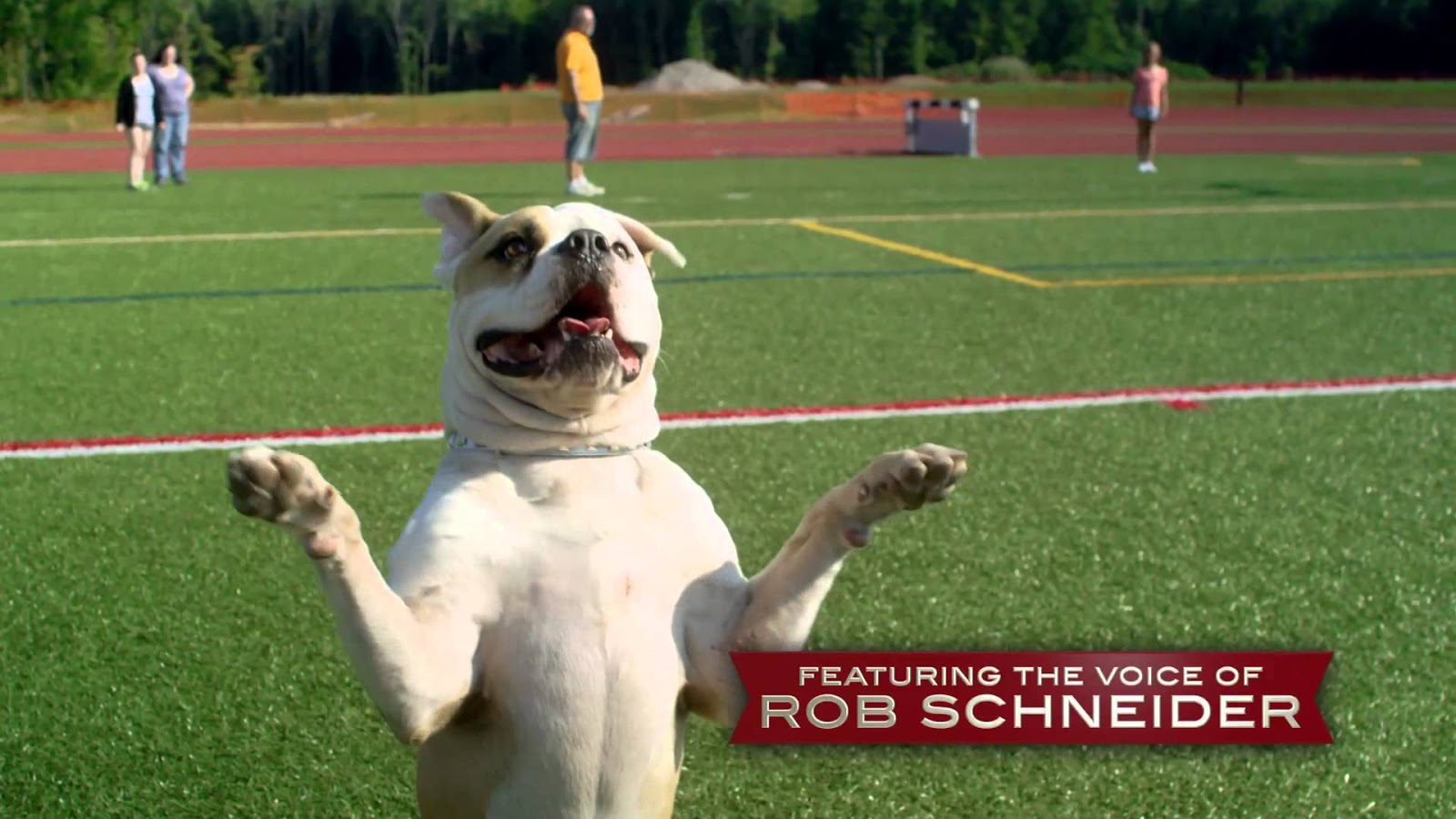 SNEAK PEEK : "Pups United" On DVD