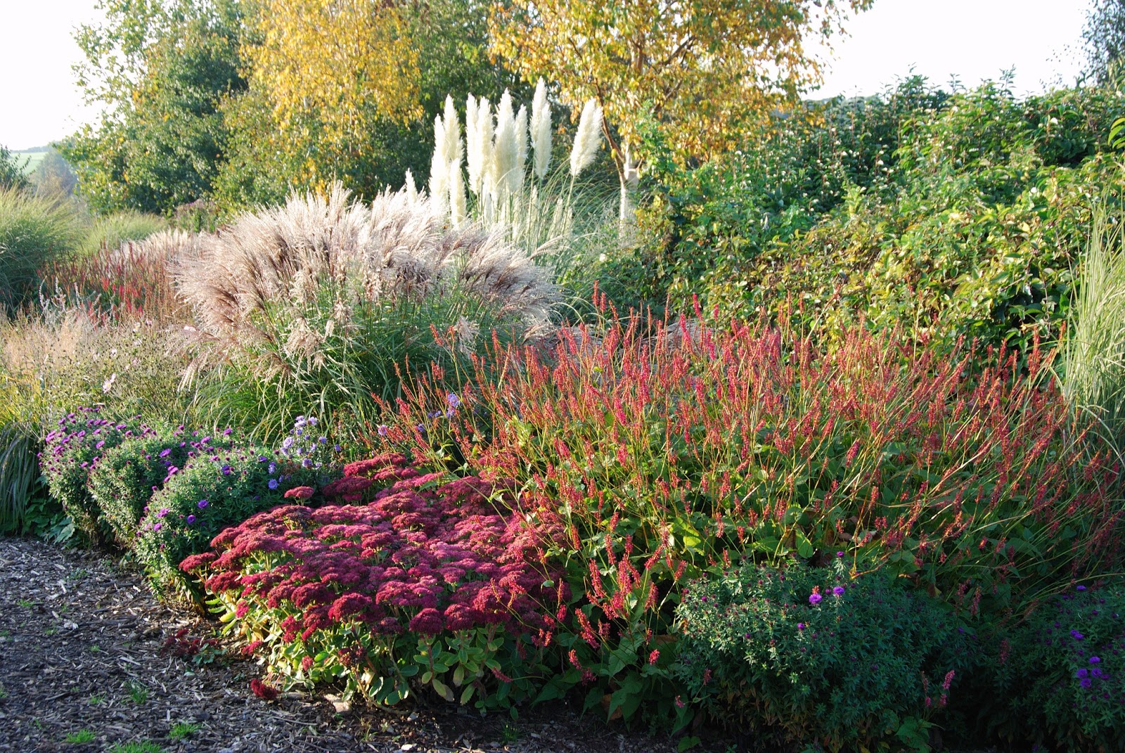 Colette Charsley Landscape Design: Prairie Planting