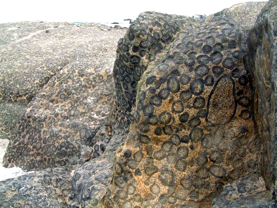 What Is Orbicular Granite? - Geology In