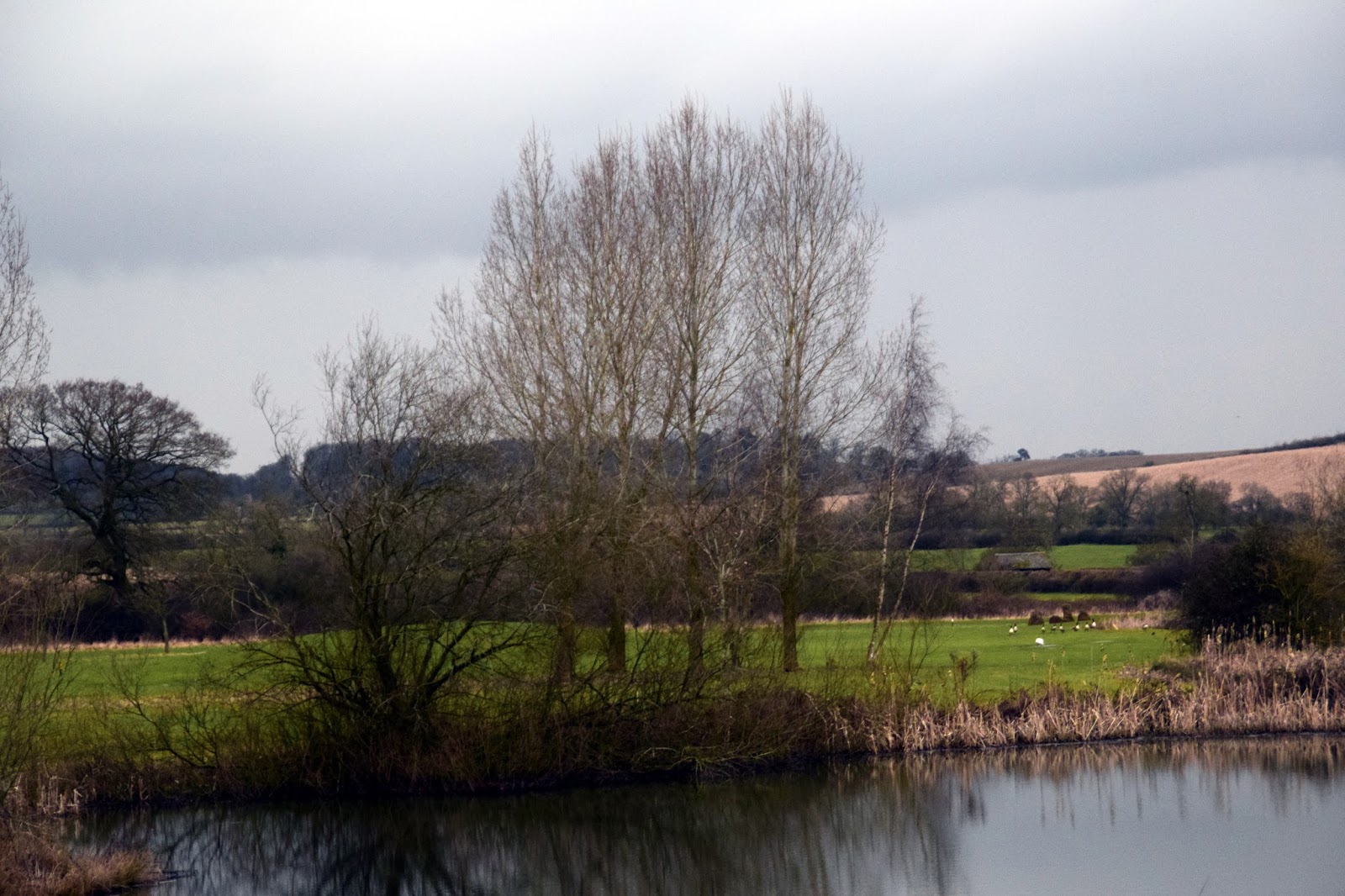 Enjoy your time with beautiful places: Hellidon Lakes and village