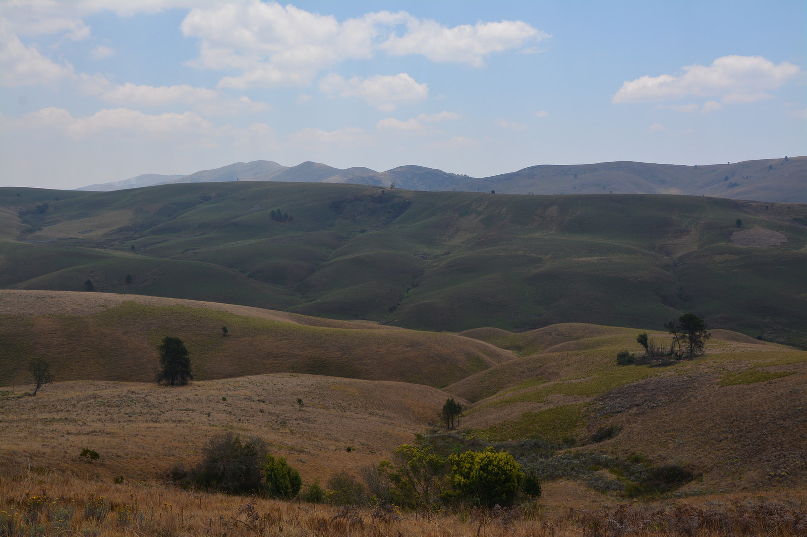 >> Kitulo National Park (The Garden of God)
