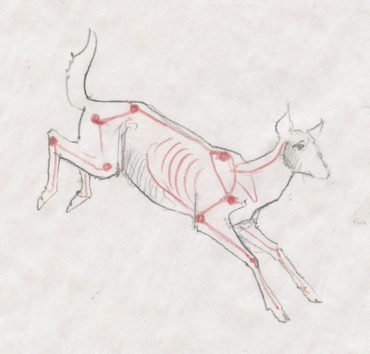 Sandy Scott Art: #653 Locomotive anatomy . . . deer