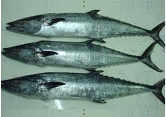 gHara javaN (Home Food): Konkani names for fish