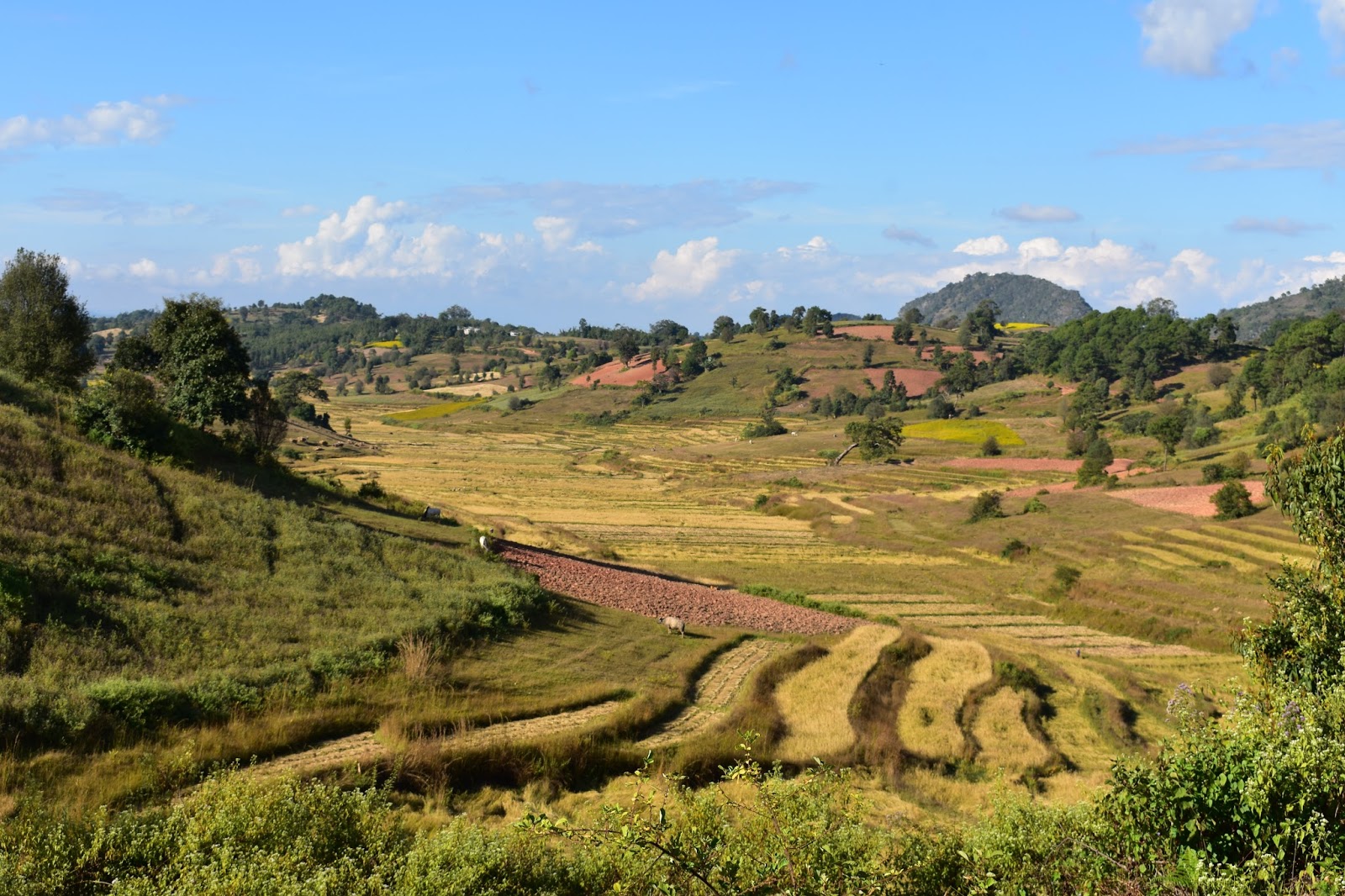 Kalaw Trekking Tour: Kalaw trekking