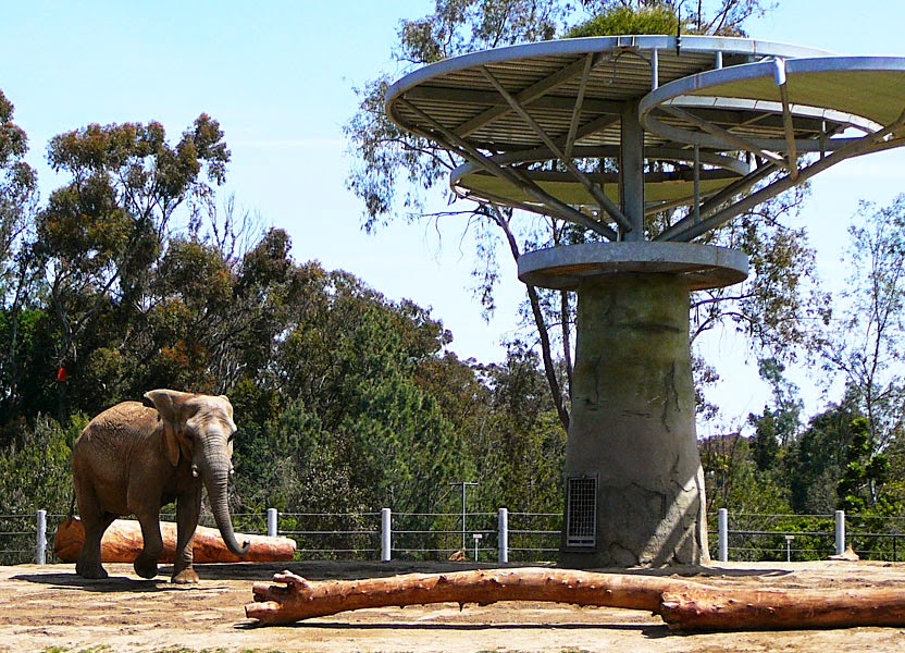 San Diego Zoo - Elephant Odyssey (Original Article)