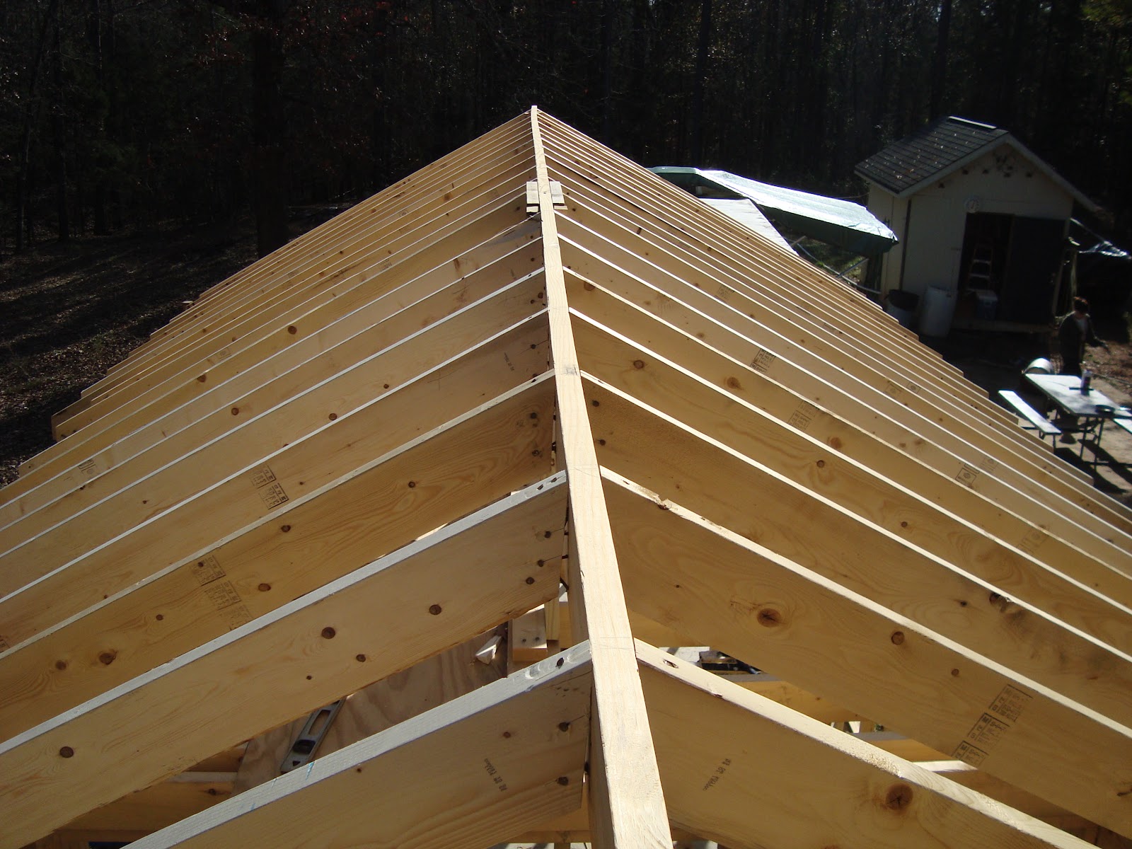 Cedar Palace