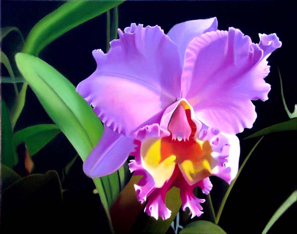 Creative Realism: LUCID LAVENDER