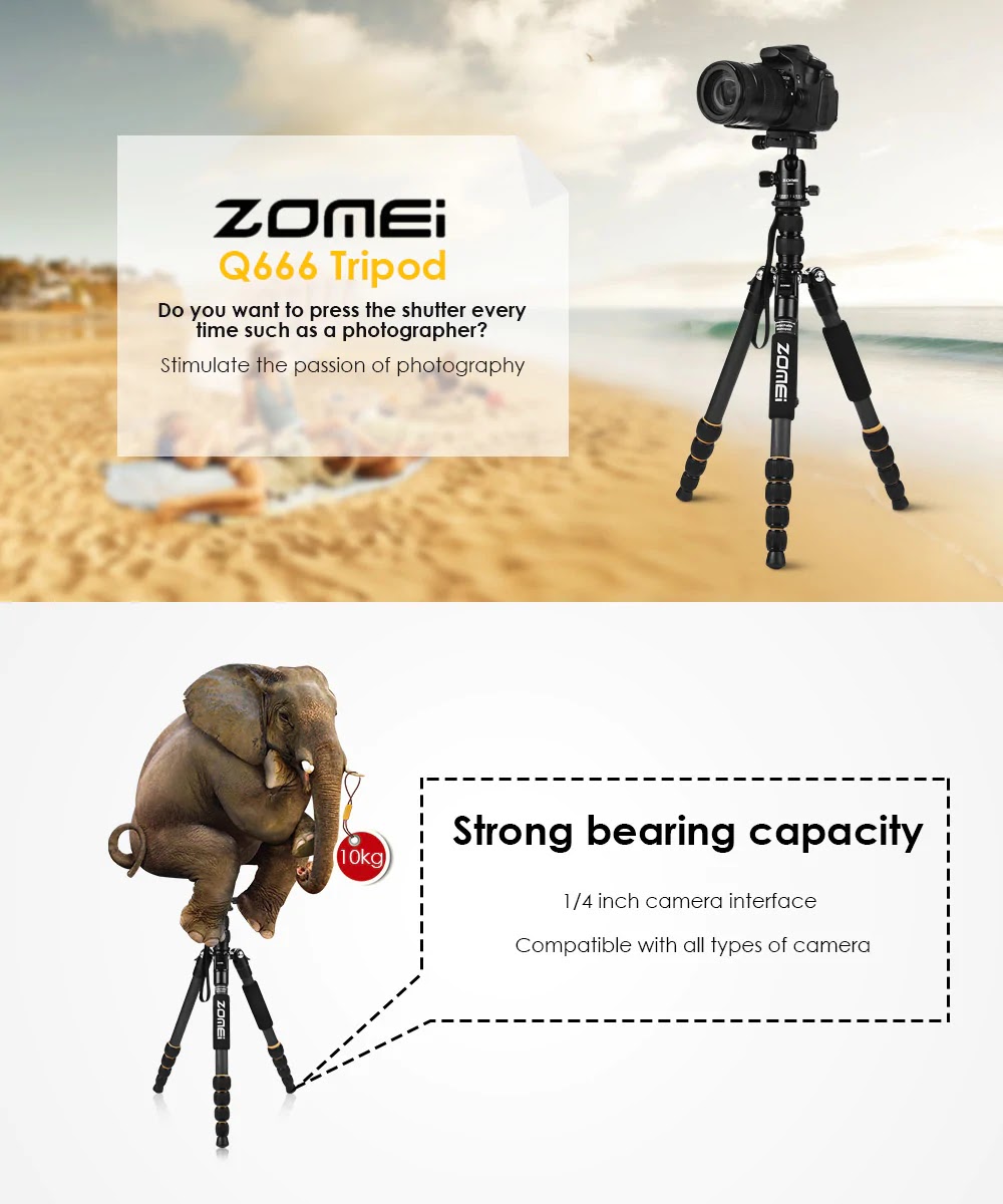 Best photoTripod: Zomei Tripod