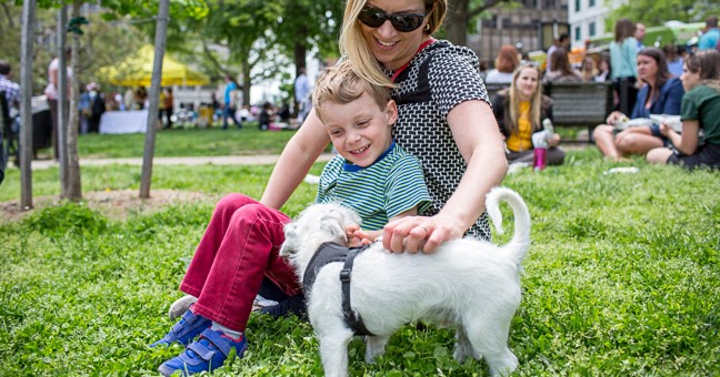 Humane Rescue Alliance Puppies Headline May 12 Farragut Friday - DC Outlook