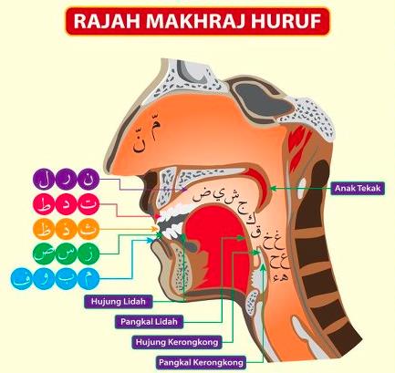 Kelab Al-Quran UBD: Makhraj-Makhraj Huruf