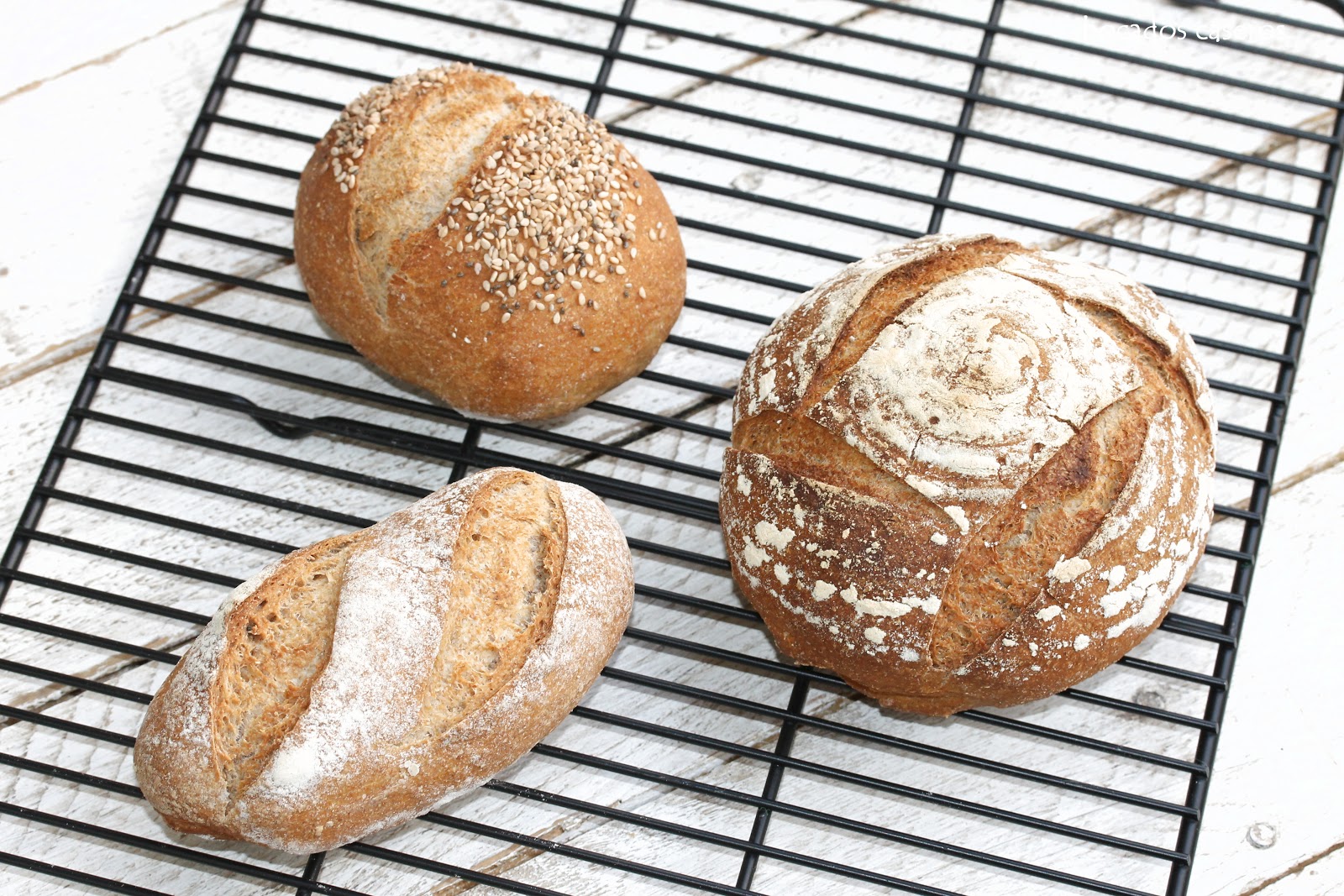 Bocados Caseros: Panes de 5 cereales con biga (receta)