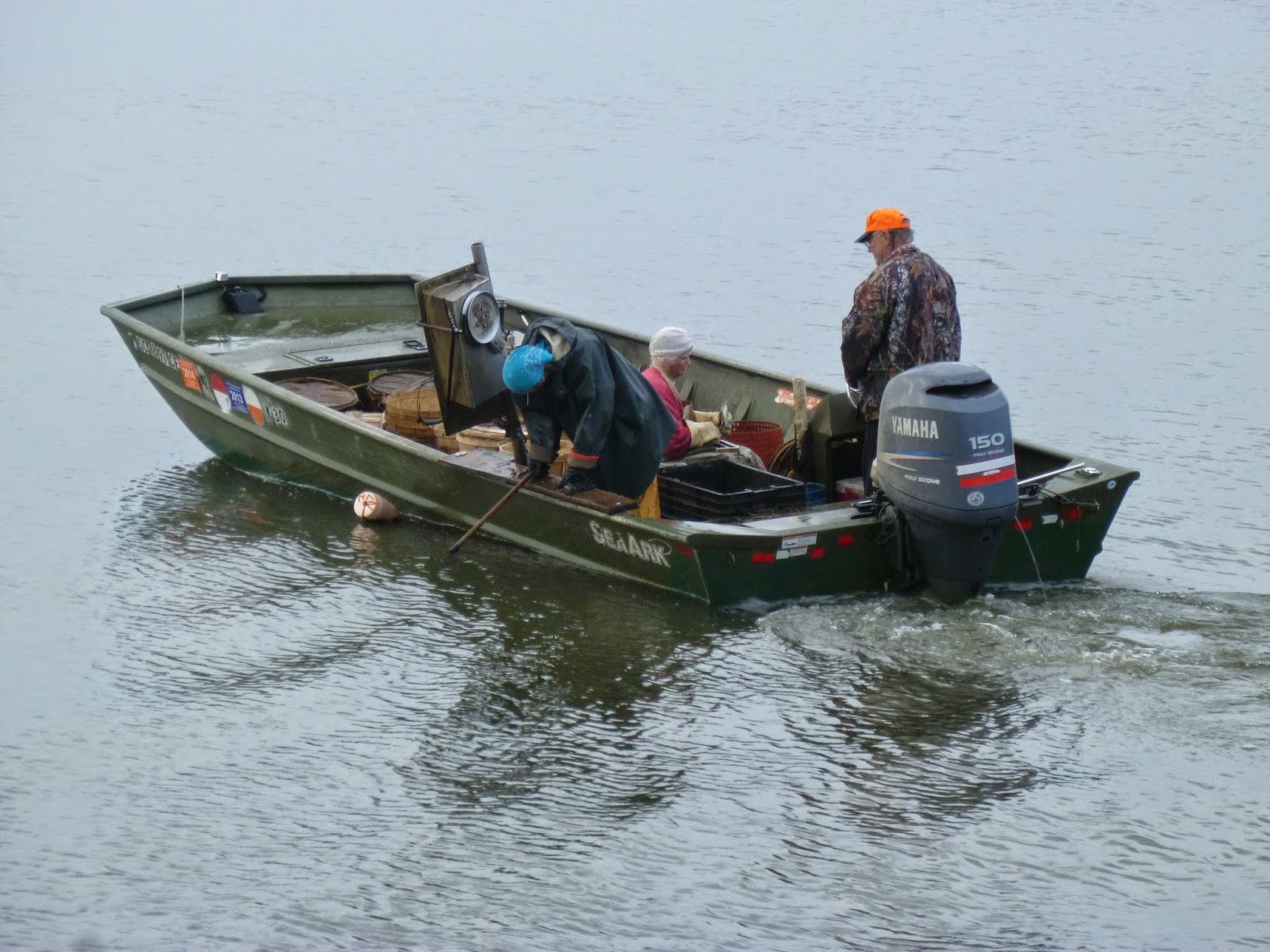 The Cruising Adventures of Wally and Darcy: We are now Riverboat Pilots ...