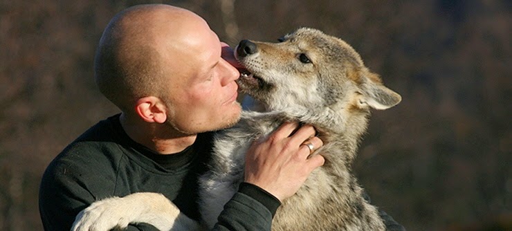 White Wolf : 15 Most Amazing Pictures of Wolf - Human Interaction