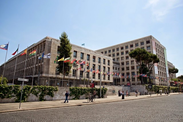 A-Z of Rome: U – United Nations