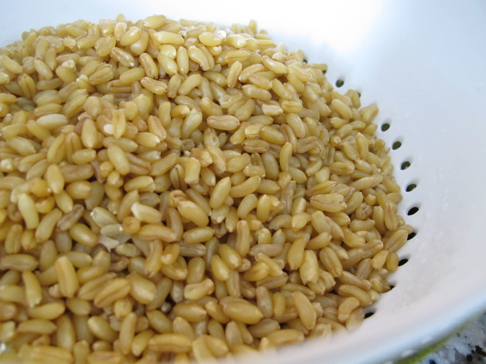 Bringing it Home to Bellevue: Kamut is a... berry?