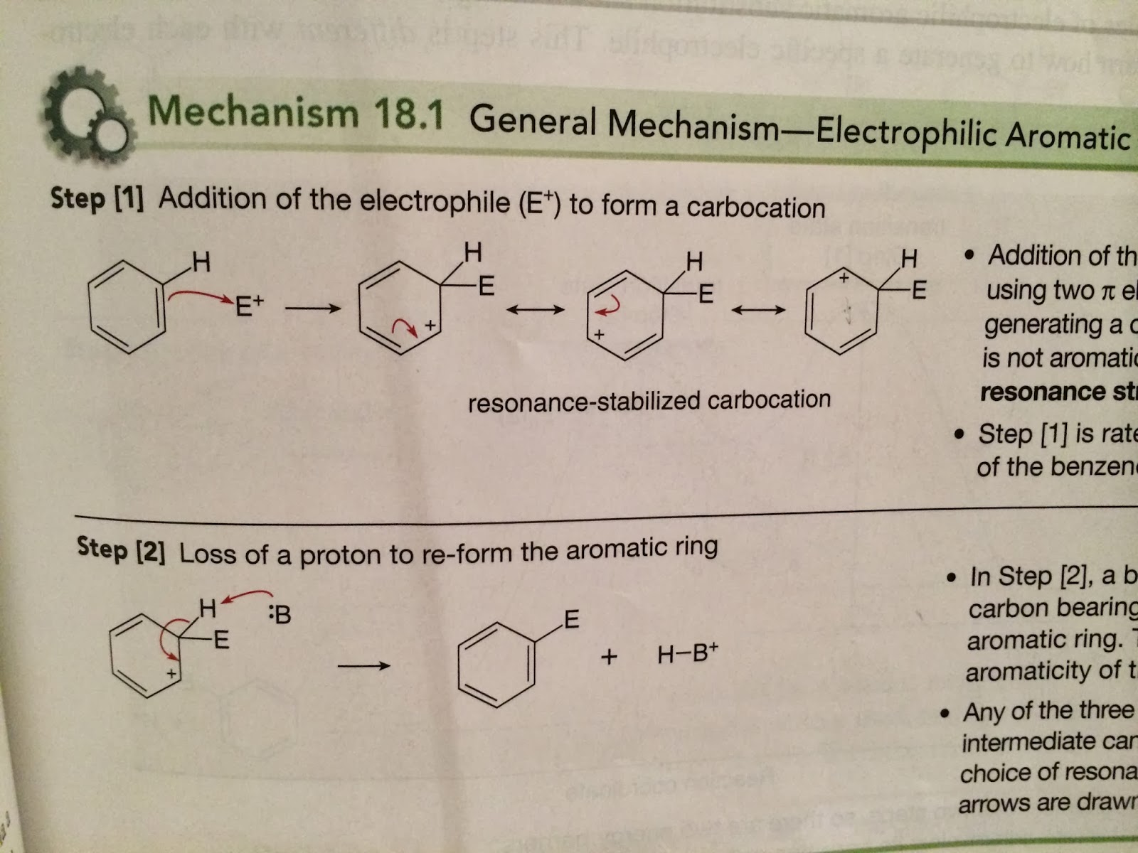 Brittany's Journey through Organic Chemistry 2: Electrophilic Aromatic ...