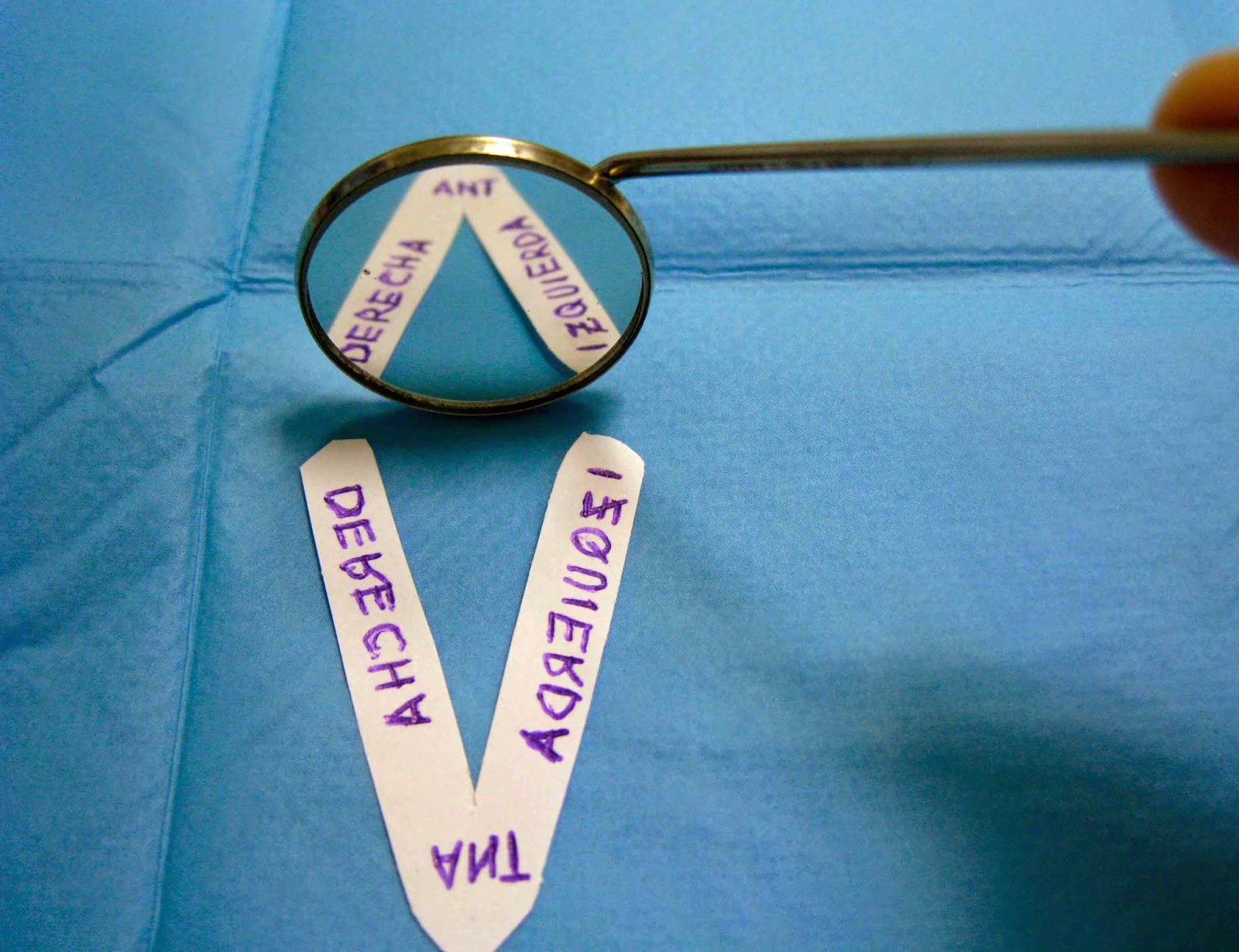 El OtoBlog: La laringoscopia indirecta como nunca antes la habías visto ...