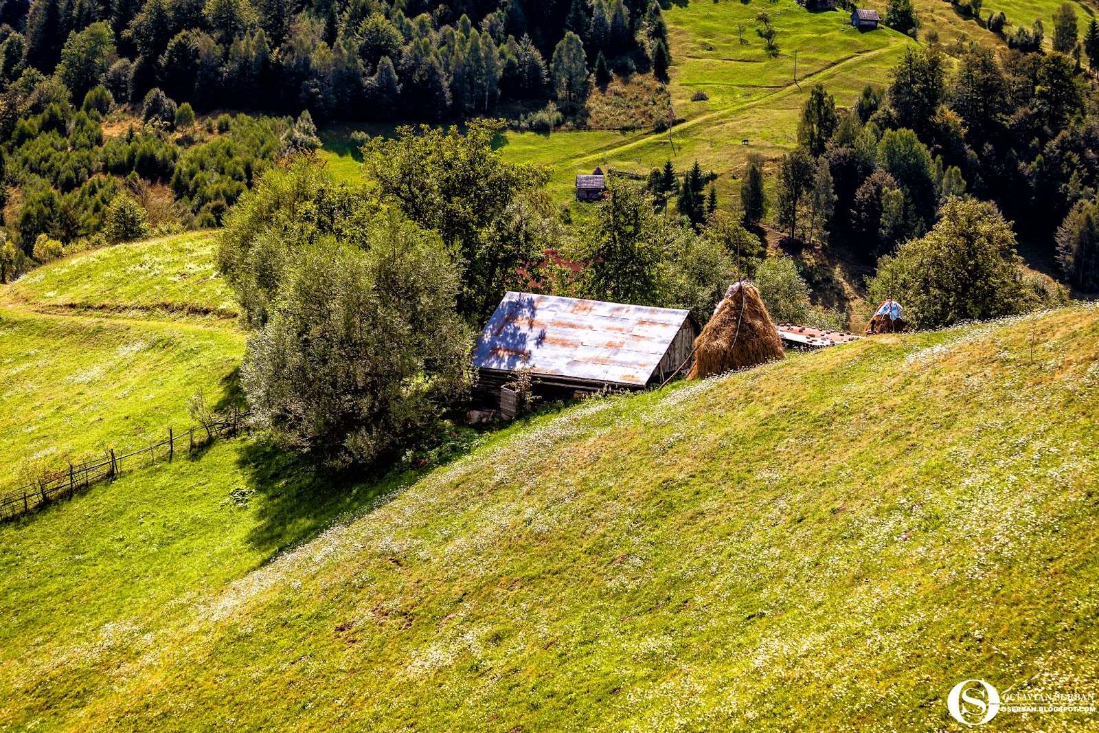 Octavian Serban: Pestera and Magura Villages...