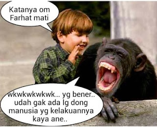 Kumpulan Meme Monyet | Kumpulan Meme Lucu