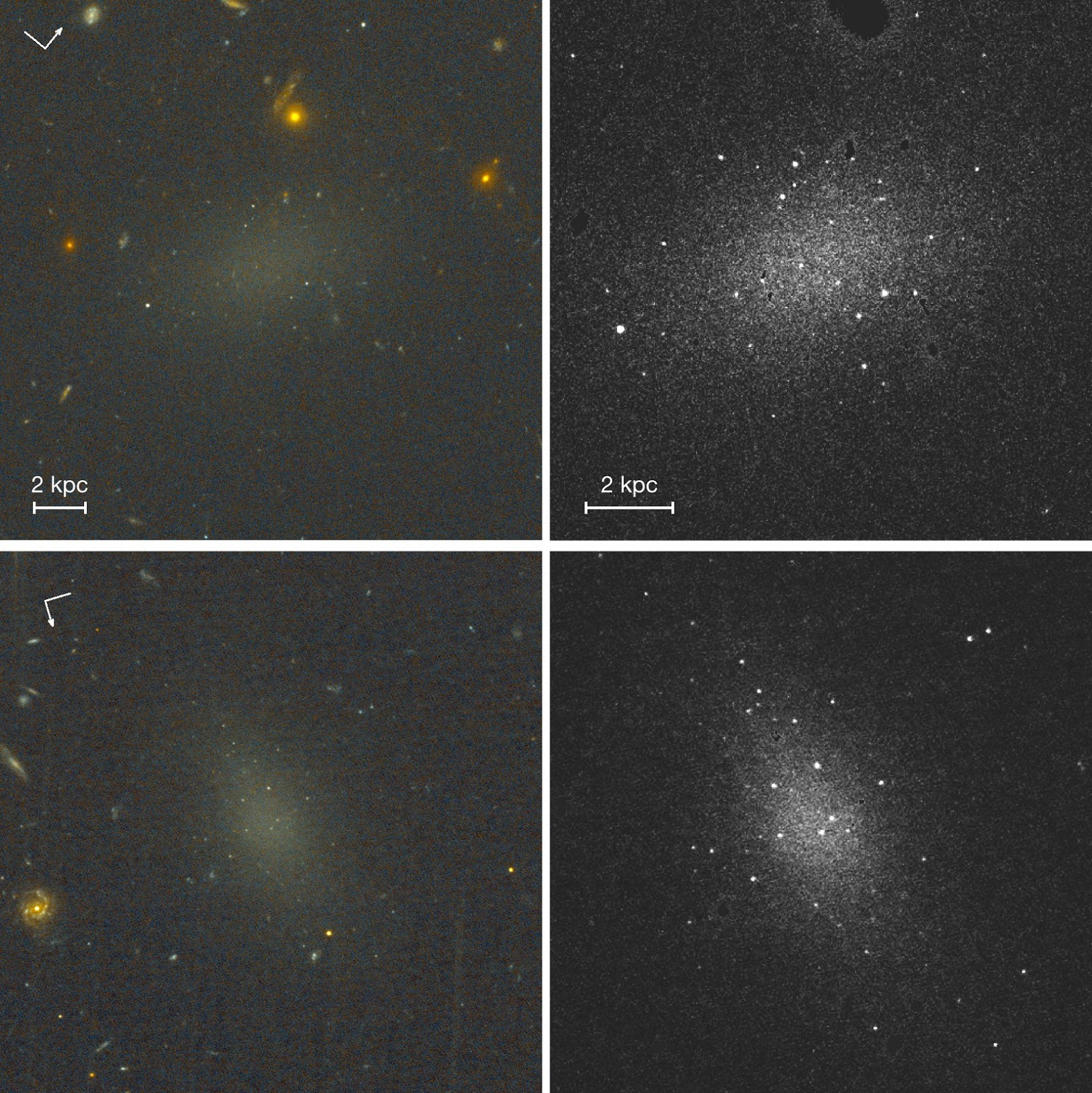 Physicists of the Caribbean: Ultra Diffuse Galaxies : Revenge Of The Ghosts