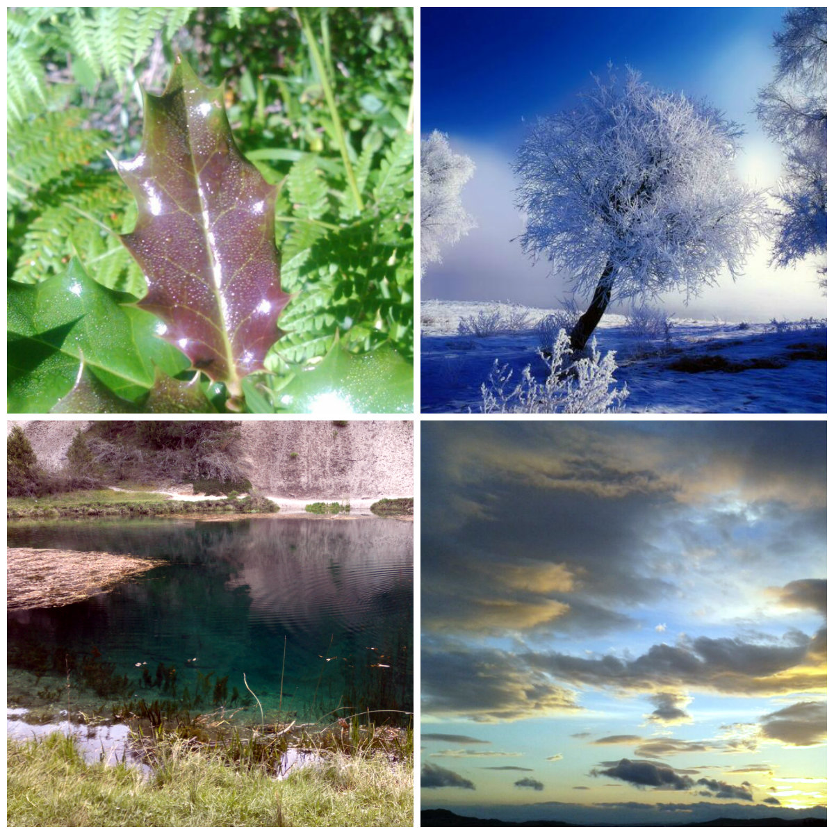 TERAPIA DE POLARIDAD: Las 4 estaciones