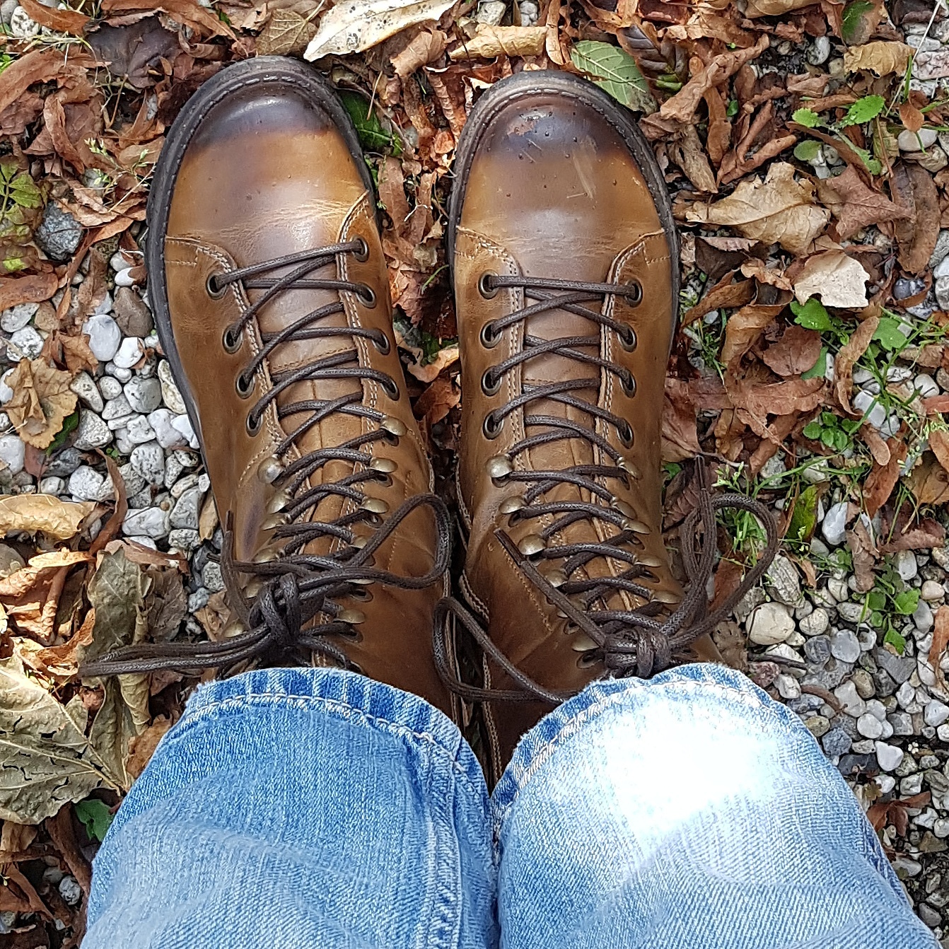 The Reed Warbler: 2017