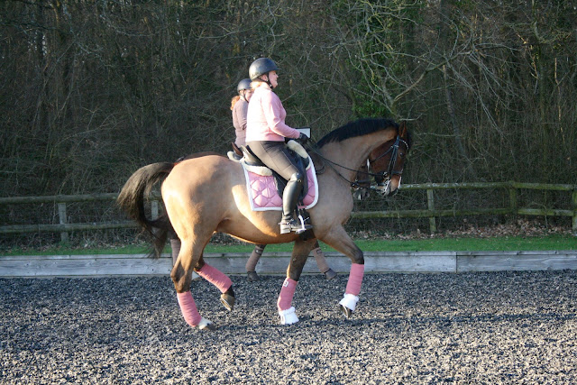Roosa's Horsey Life: #rootd: pink & elegant