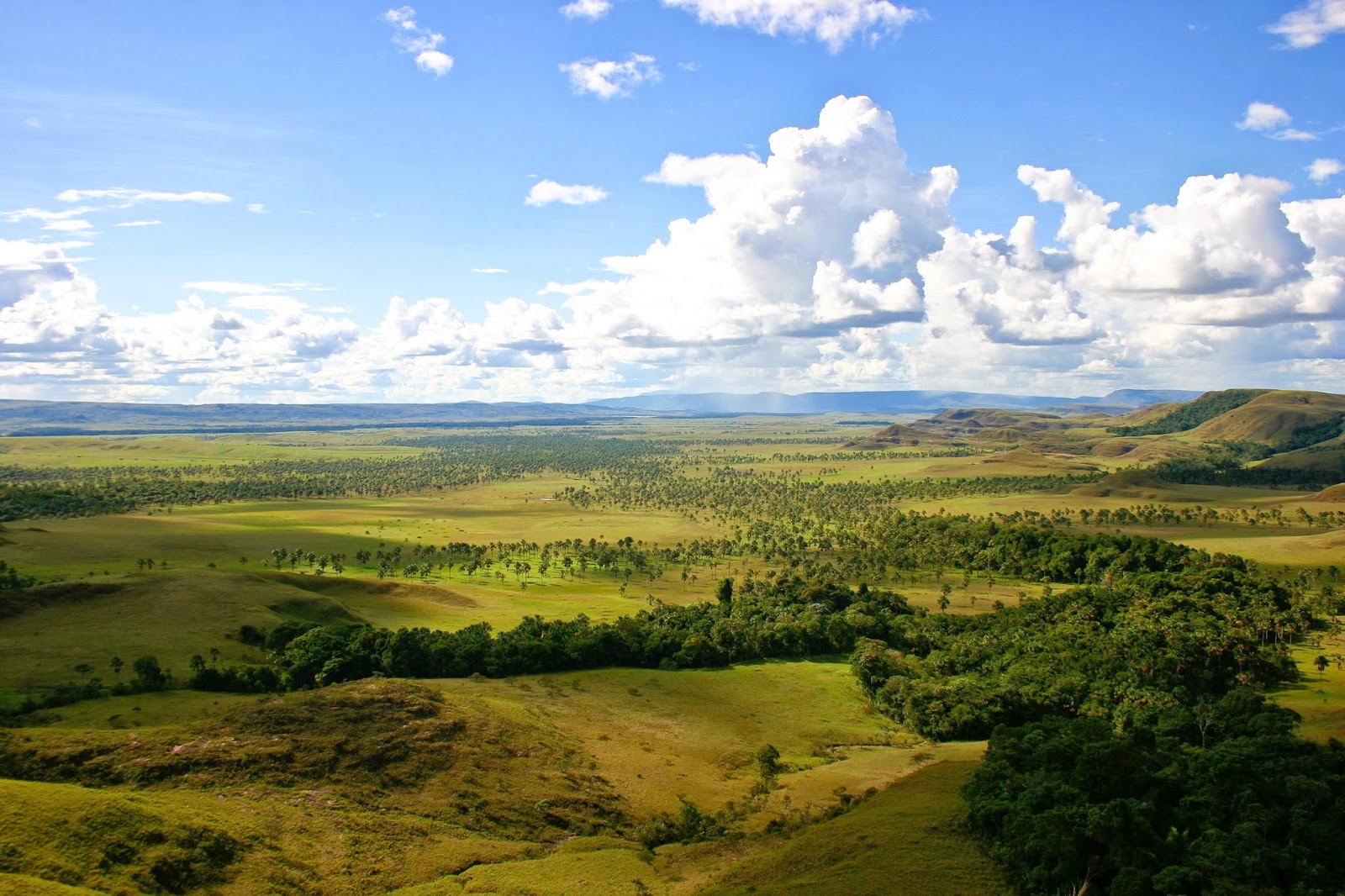 La importancia de las regiones y los recursos naturales: Sabana