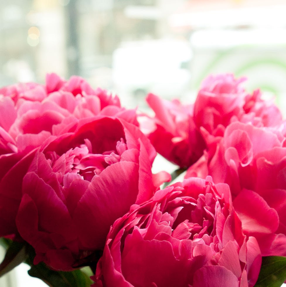 Twirling Clare: What I am loving now