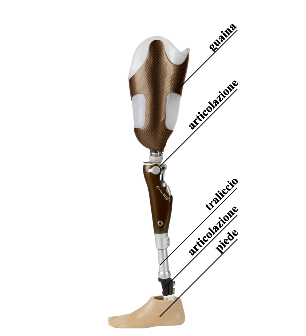 Gambe Artificiali: Componenti delle gambe artificiali